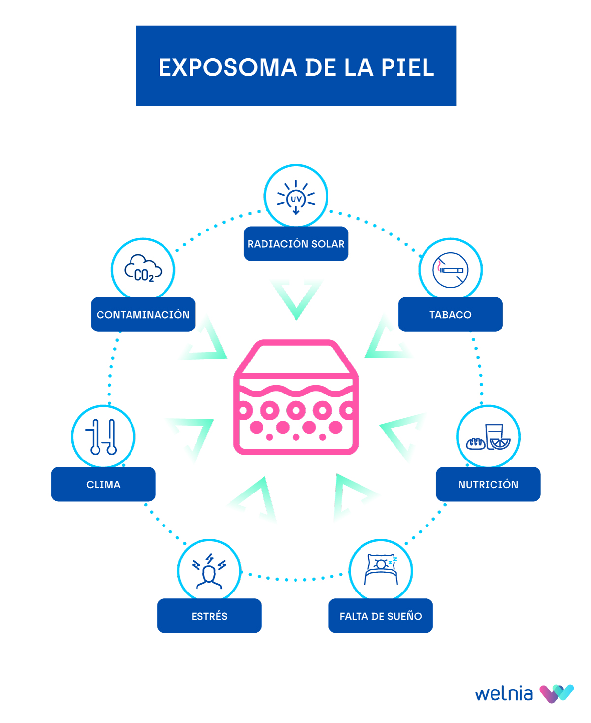 Exposoma: los 7 factores que influyen en el envejecimiento